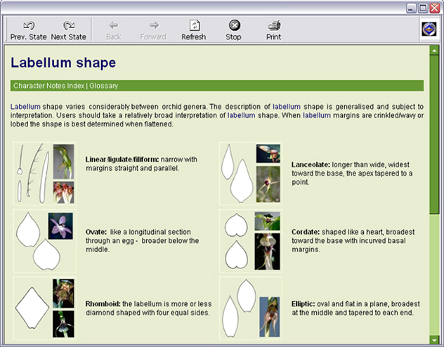 Sample identification
